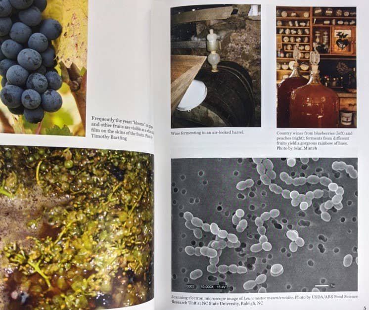 Art of Fermentation: An In-Depth Exploration – Gather Sebastopol
